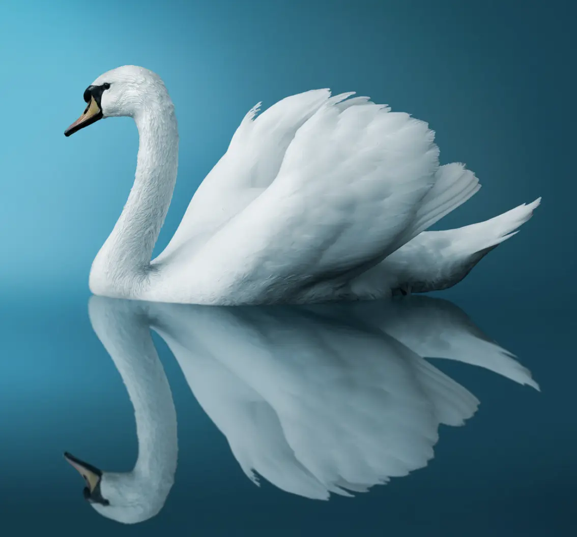 What is Swan Neck Deformity? Symptoms, Causes & Treatment | Revive ...